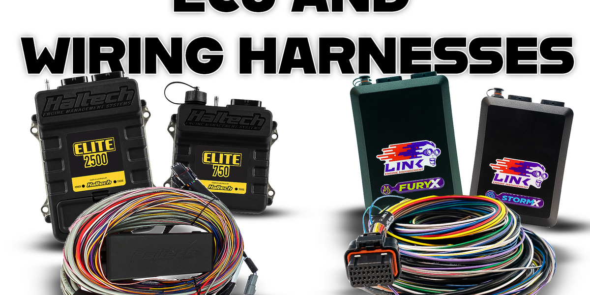 ECU's | Wiring Harnesses — Goleby's Parts