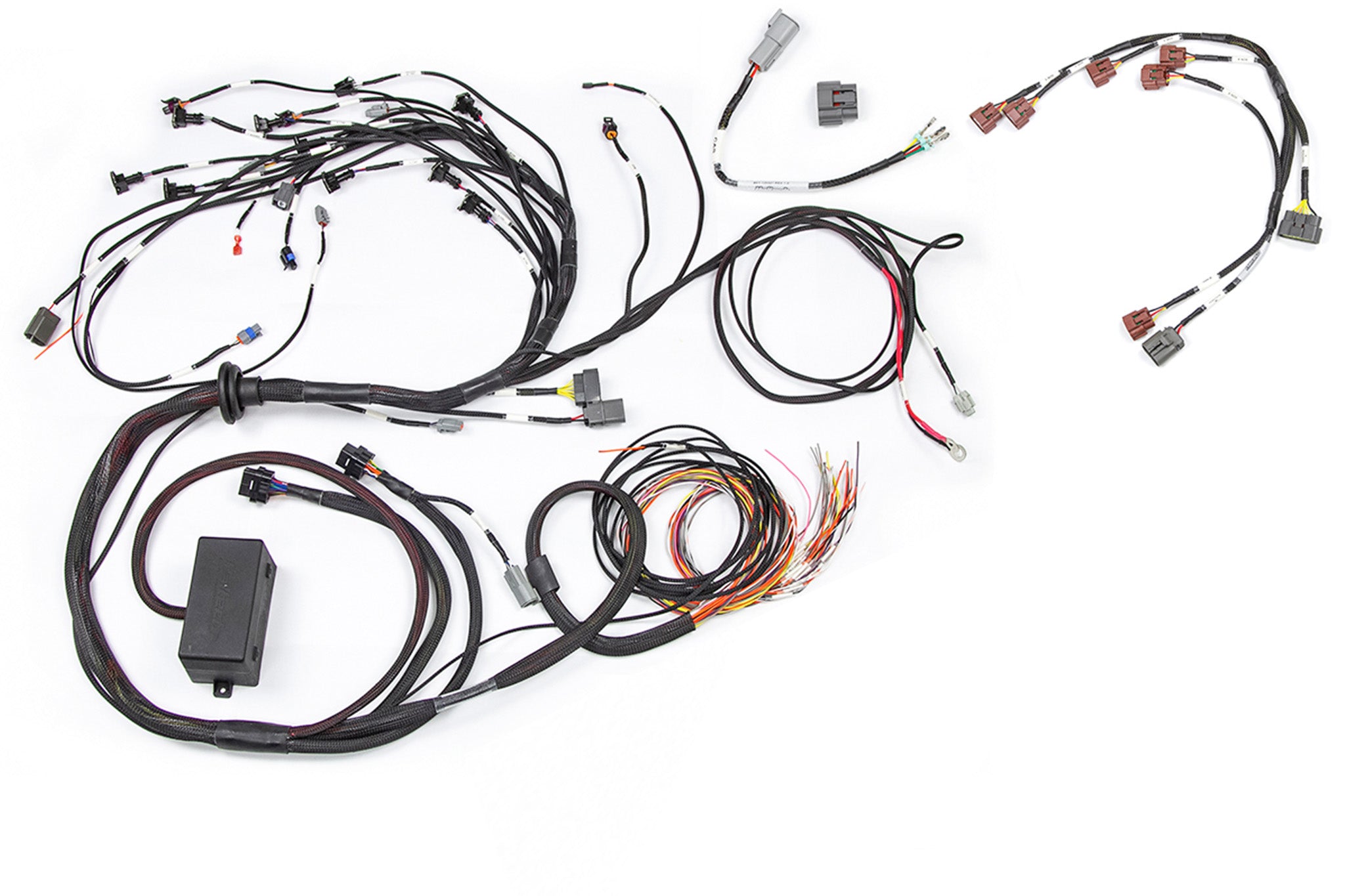 Elite 2000/2500 Terminated Engine Harness for Nissan RB Twin C — Goleby ...